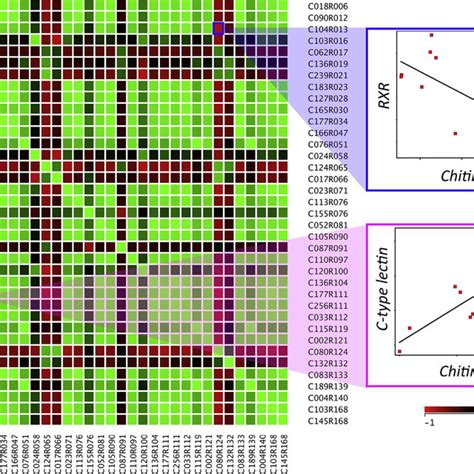 Heatmap Of Correlation Coefficients Pearsons R Derived From A