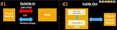 SAP Integrates R With HANA Revolutions