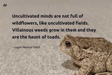 20 Toad Quotes About The Warty Amphibian