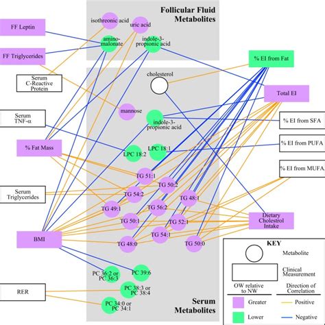 Obesity Leads To Distinct Metabolomic Signatures In Follicular Fluid Of Women Undergoing In