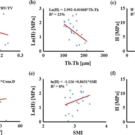 Simple Linear Regressions For K With Morphological Parameters A