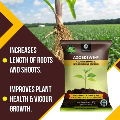 Organicdews Azospirillum Bio Fertilizer Powder Nitrogen Fixing