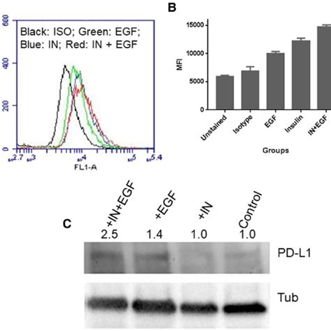 Pd L1 Expression Increased In Cscs From Ht 29 A Western Blotting