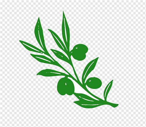 Оливковая ветвь Оливковая ветвь, Of A Tree Branch, лист, оливковое ...