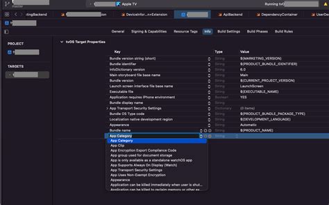 Iphone How To Add Properties In Infoplist In Ios Stack Overflow