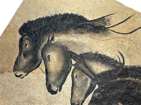 Cave Paintings Horses