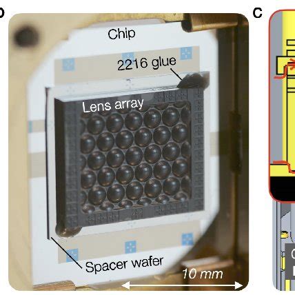 Detector Geometry A Micrograph Of A Single Detector Consisting Of A Download Scientific