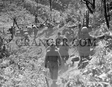 Image Of Korean War Triangle Hill American Soldiers Carrying An