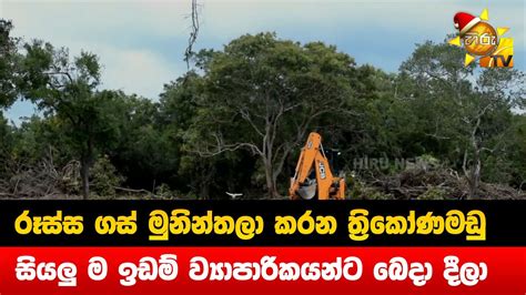 රූස්ස ගස් මුනින්තලා කරන ත්‍රිකෝණමඩු සියලු ම ඉඩම් ව්‍යාපාරිකයන්ට බෙදා දීලා Hiru News Youtube
