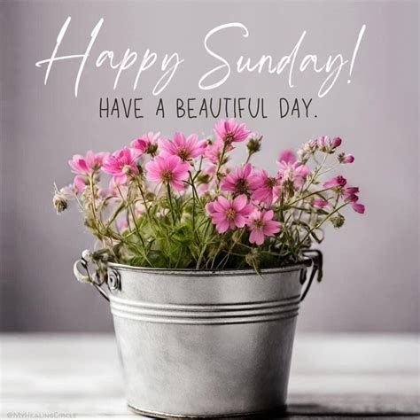 Pin By Laura Auer On Daily Greeting Happy Sunday Flowers Good