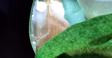 Repairing Buitar Booboo With Clear Epoxy Album On Imgur