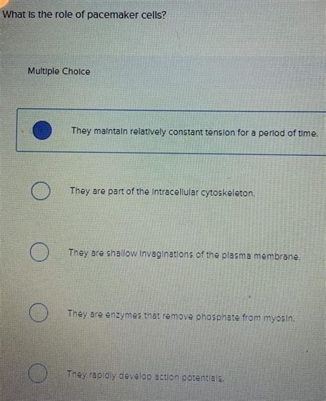 Solved What Is The Role Of Pacemaker Cells Multiple Choice