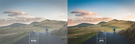 Processing Of RAW Formats With Digital Asset Management Blog