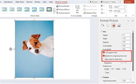 The Ultimate Guide To Rotate Flip PowerPoint Images MyExcelOnline