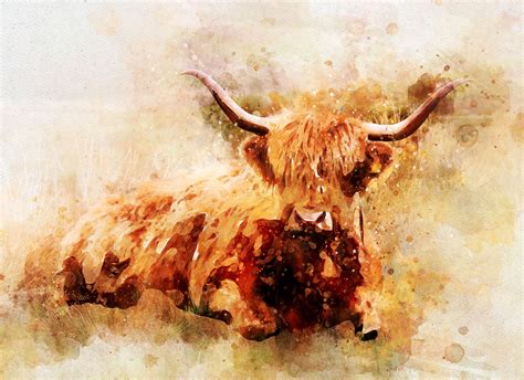 Highland Cow Canvas Art And Wall Art Prints From Canvasdesign Uk