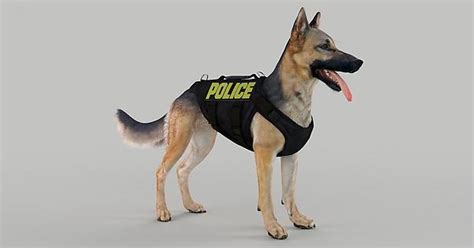 Fivem Mallios Album On Imgur