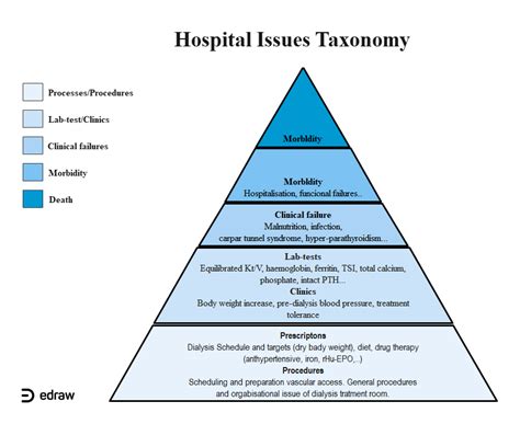 Ancient Society Structure Taxonomy Edrawmax Editable Template Artofit