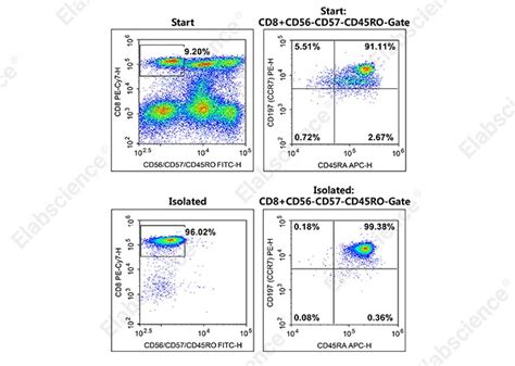 人初始cd8t细胞阴性分选试剂盒（mih008n） Elabscience伊莱瑞特