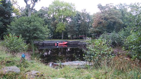 Img 2968 Rongorongo Flickr