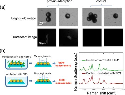 Figure 11 From Integrated Nanoplasmonic Optical Microfluidics For Label Free Bioassays