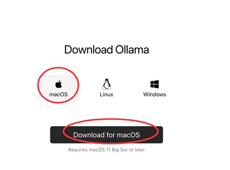 基于 Deepseek R1 Ollama Anythingllm 在mac M1 部署本地知识库问答系统 知乎