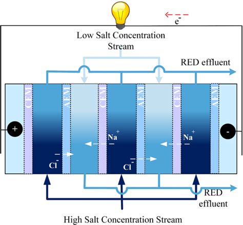 Schematized Red Stack Download Scientific Diagram