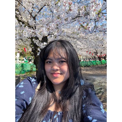 Pom2purincafe Pompompurin Cafe In Takeshita Street Harajuku 💛 Is