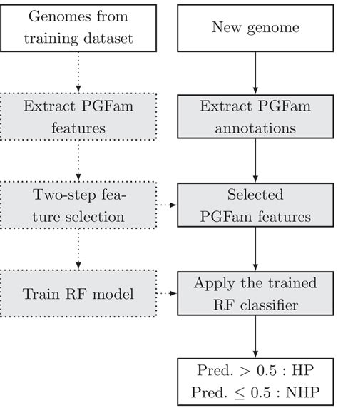an overview of the classification workflow rectangles with dashed