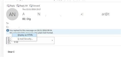 conditional formatting display email as plain text html depending on