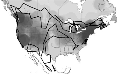 Non Overlapping Polygons Shown On Top Of The Sampling Density Rasters Download Scientific