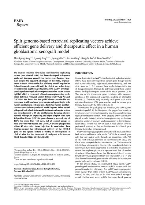 Pdf Split Genome Based Retroviral Replicating Vectors Achieve Efficient Gene Delivery And