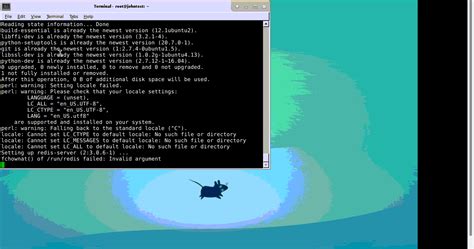 Installation Failed Using Easy Install Script Installpy Frappe Forum