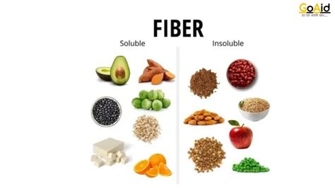 The Ultimate Guide To High Fiber Foods For A Healthier You