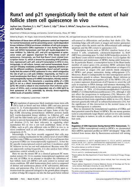 pdf runx1 and p21 synergistically limit the extent of hair follicle