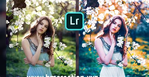 Лайтрум фото Удаление каталогов в Лайтруме и импорт фото в Photoshop