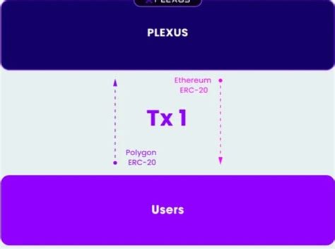 plexus plexus by alifaiyz medium
