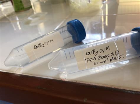 Bacterial Transformation Protocol Zabiologist