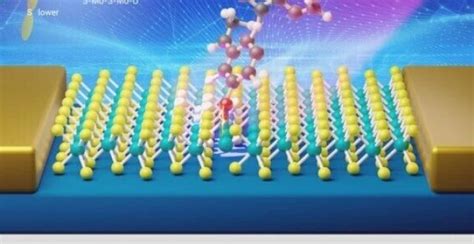 The Innovation Materials 突破双极性二维材料普适性钝化：从光电探测器迈向生物传感器腾讯新闻
