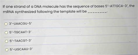 Solved: If one strand of a DNA molecule has the sequence of bases 5 ...