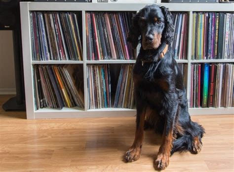 エクセルvbaでaccessデータベースの複数のレコードをまとめて上書き更新する方法 隣it