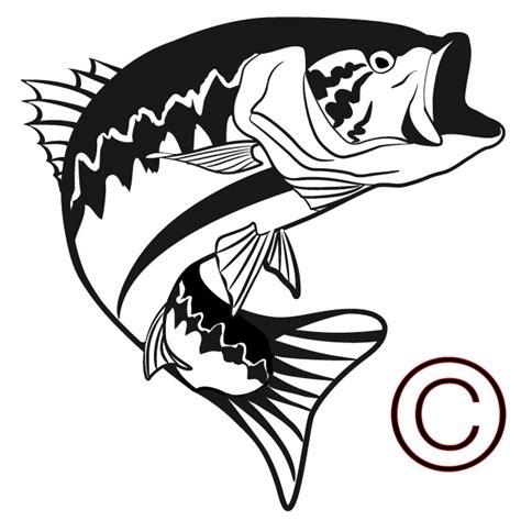 Free Bass Fish Clipart Black And White Download Free Bass Fish Clipart Black And White Png