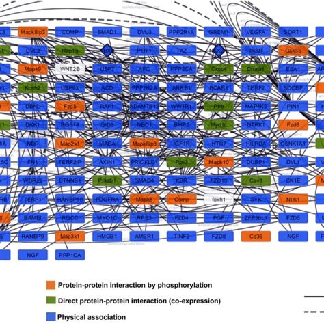 Proteinprotein Interaction Data Were Analyzed By Molecular Interaction