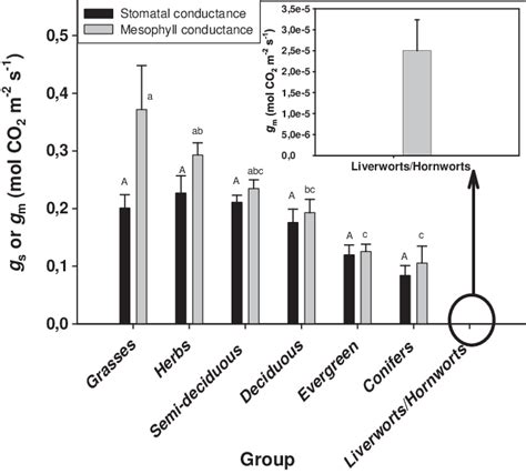 Mesophyll Conductance Is Greatest The More A Species Is Download