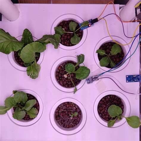 Plants Detec Object Detection Dataset And Pre Trained Model By Ntu