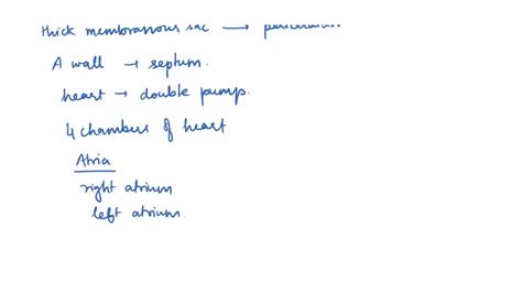 Solved Match The Adult Structure On The Left With The Aortic Arch Or