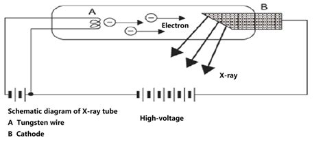 Tungsten Filament For X Ray