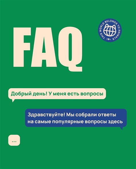 КУСЬ антикошки котобалконы товары для животных Иллюзия безопасности 💔 Многие владельцы