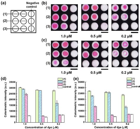 A Schematic Depiction Of A Test Chip Representative Colorimetric Download Scientific Diagram