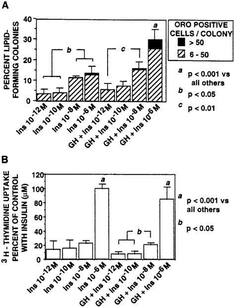 Differentiation A And Proliferation B Of Preputial Sebocytes In Download Scientific