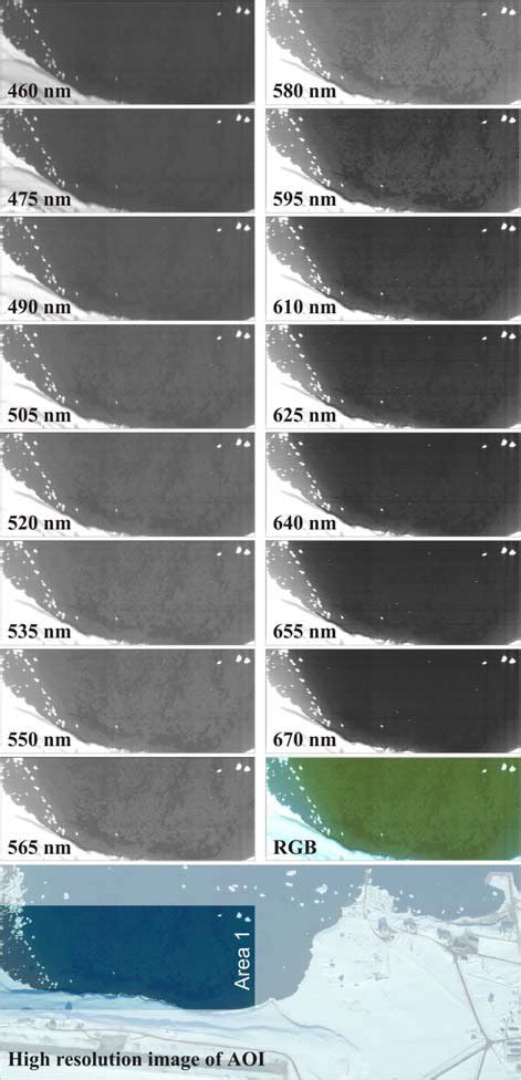 Example Of Monochromatic Images Used For Classification Of Kelp Forest